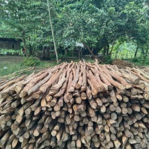 Kayu Dolken - Kayu Store