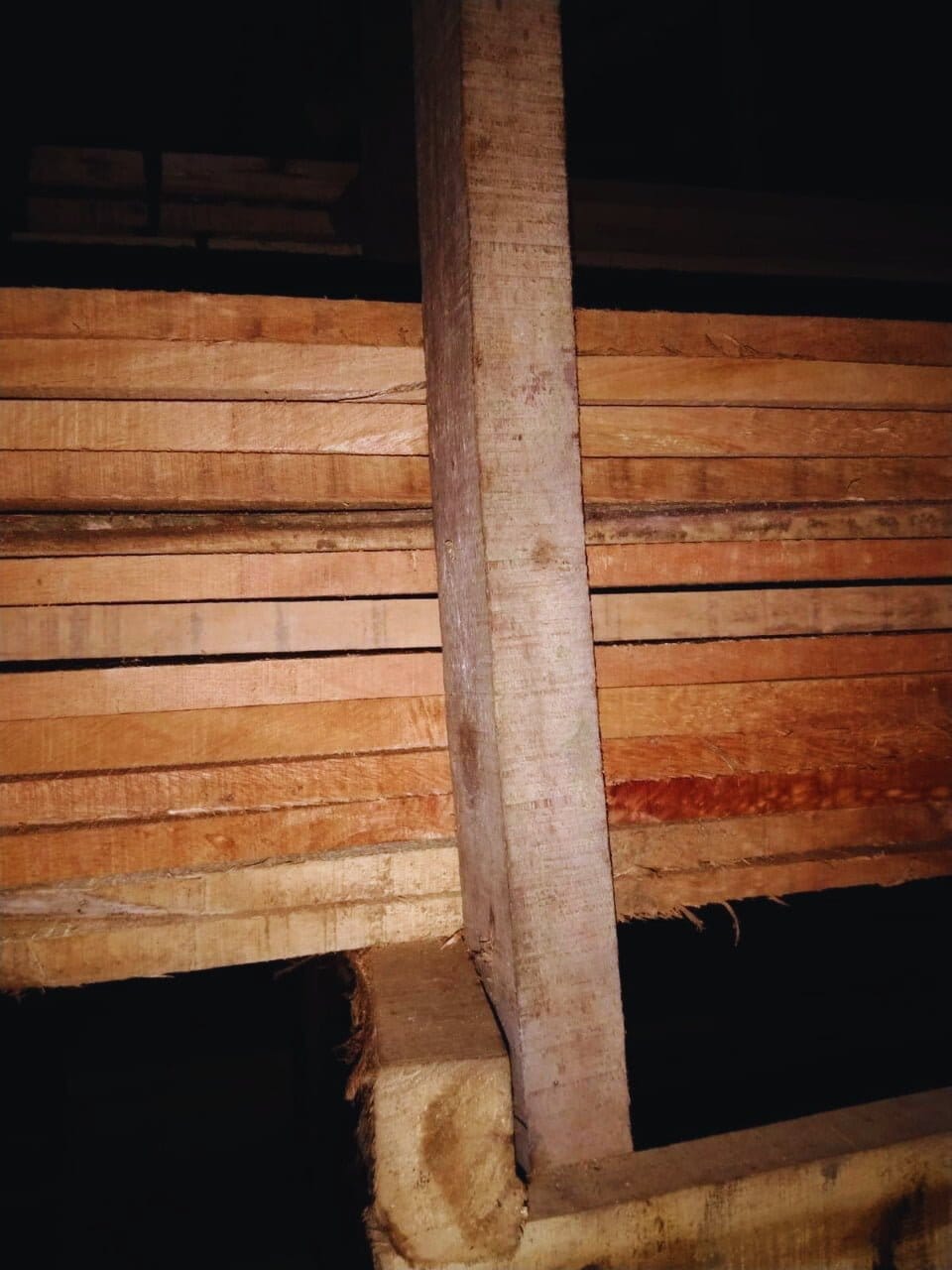 Kayu Papan 2×20 3 Meter - Kayu Store