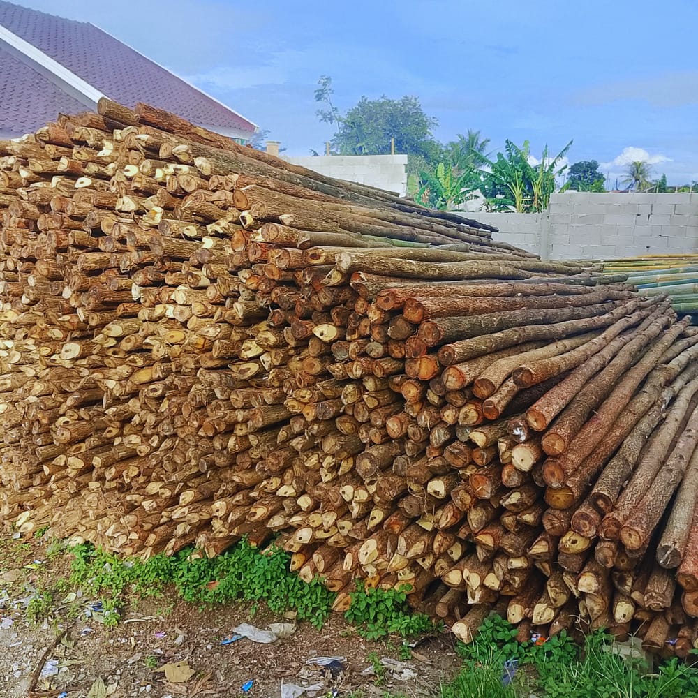 Kayu Dolken Harga Murah Kualitas No.1 - Kayu Store