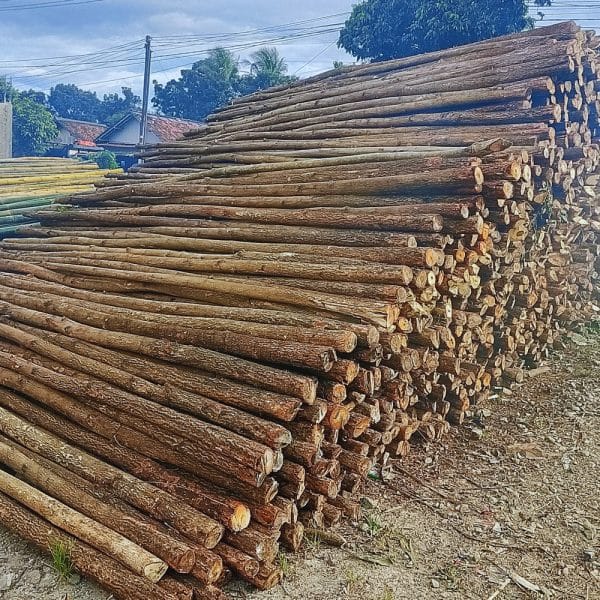 Kayu Dolken Harga Murah Kualitas No.1 - Kayu Store