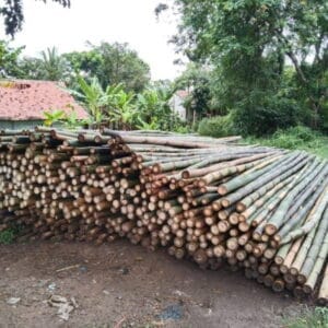 Steger - Harga Steger Terbaik 2025 di Kayu Store